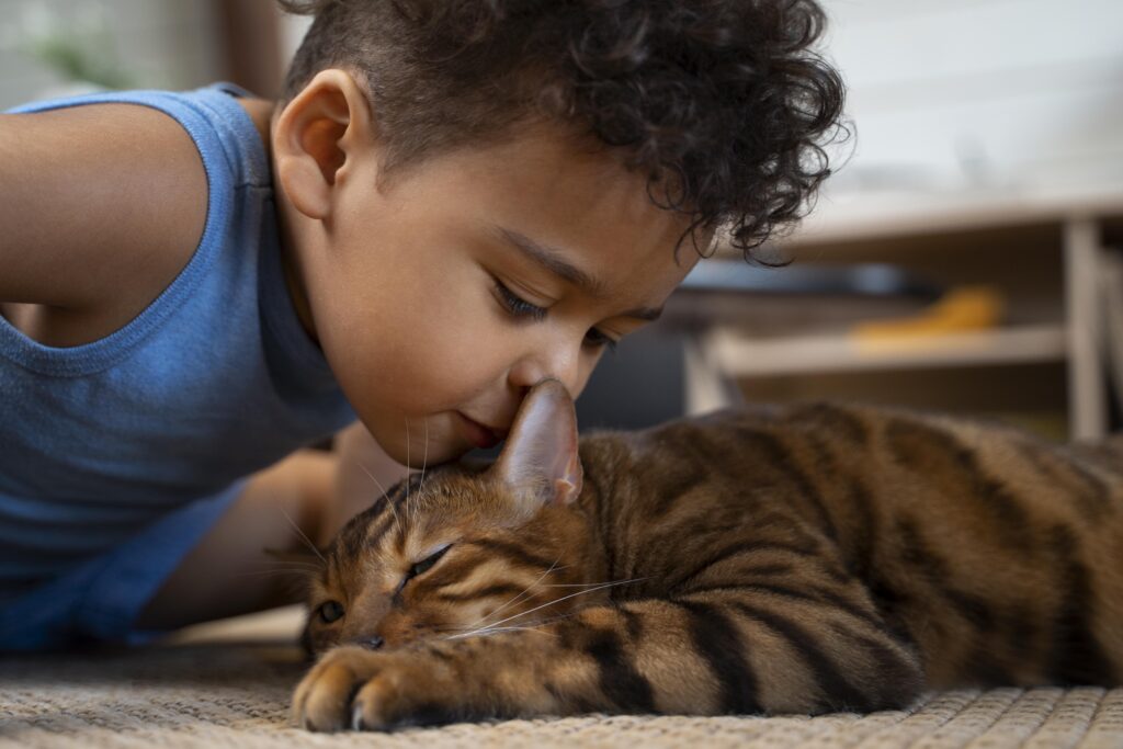 Gato Vs Humano Human To Cat Translator For Android Download